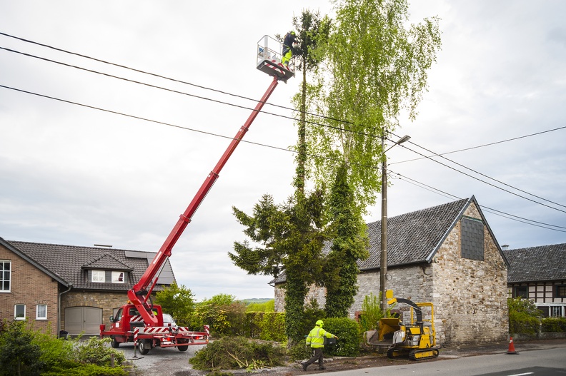 Effective Tree Trimming Service in | J&T Texas Tree Service