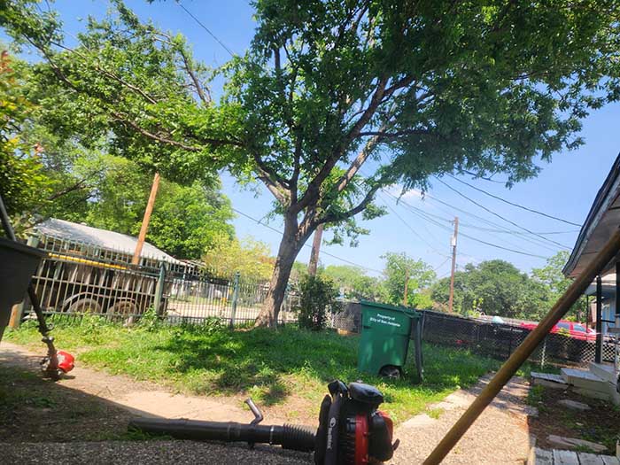 Gallery - J&T Texas Tree Service