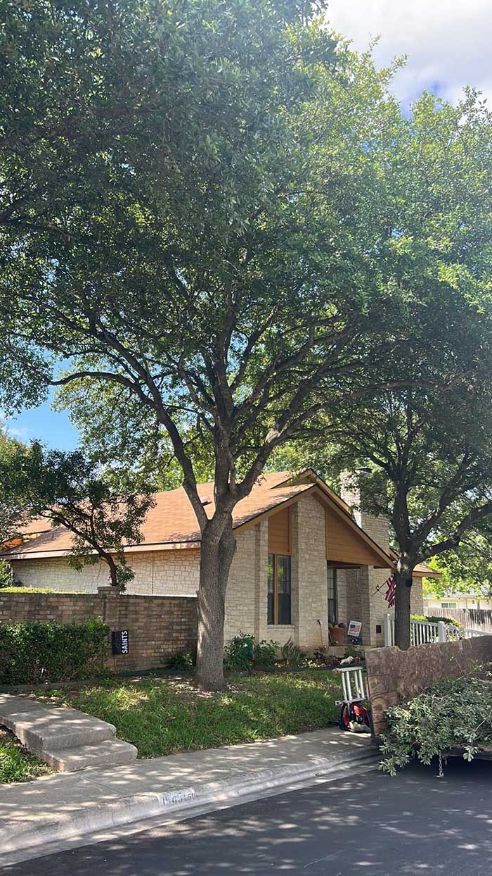 Gallery - J&T Texas Tree Service